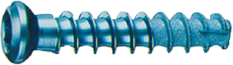 Caspar Evolution screws bicortical